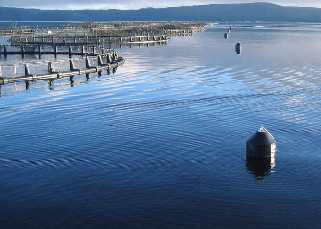 ROPE, MOORING SYSTEMS & HARDWARE - Seamaster Fishing Supplies